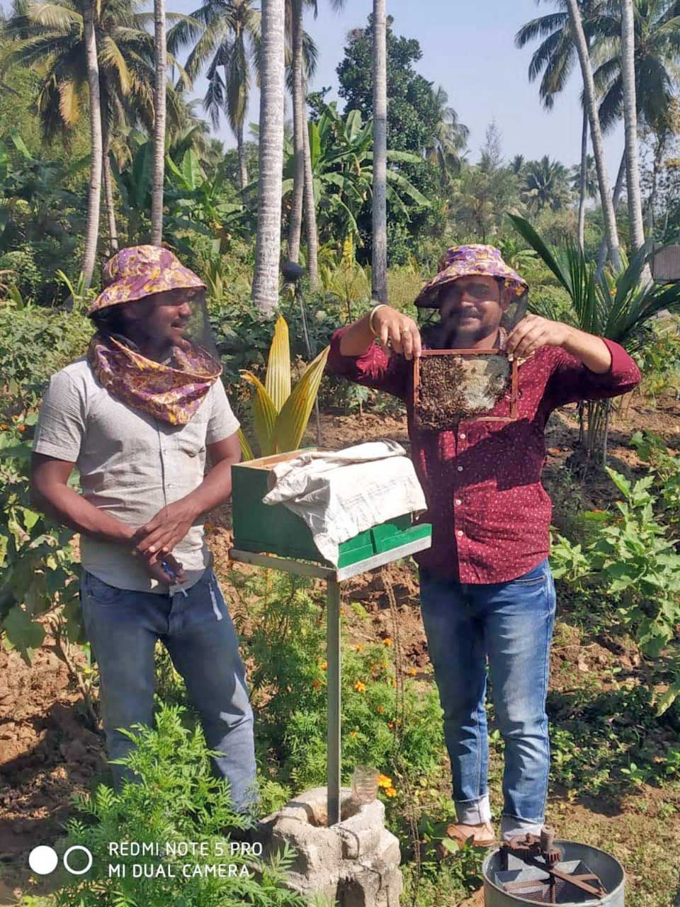 “Mahua Mitu” - a guide for honeybee cultivation - Inspiring Odisha